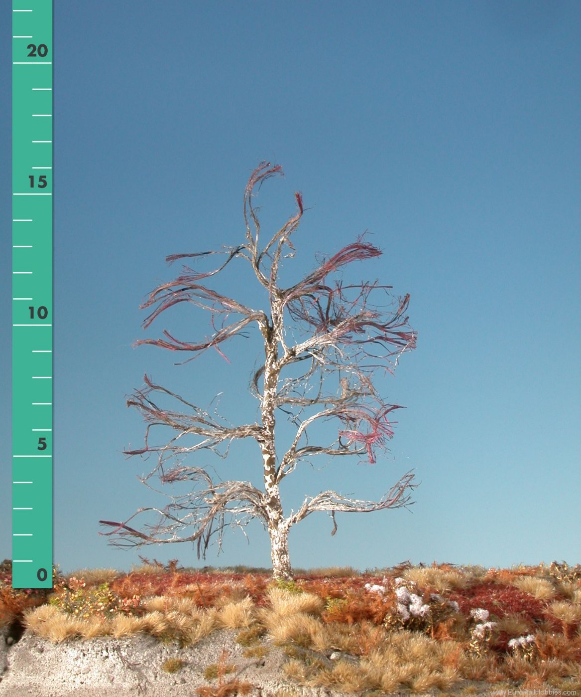 Silhouette Silflor MiniNatur 210-30 HO Moor birch, Barren (22-29cm)